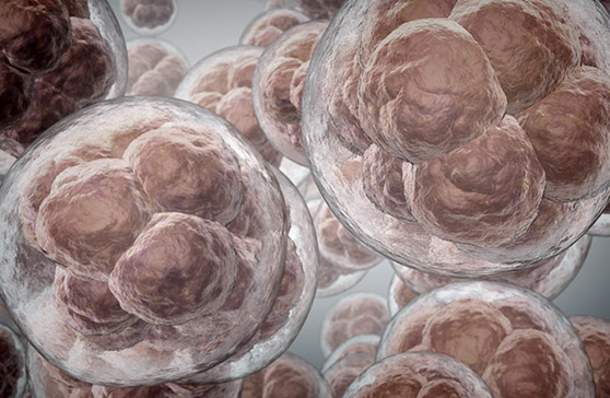 SeaTox | A Deep Sea Discovery Over 40 Years Ago Offers Answers